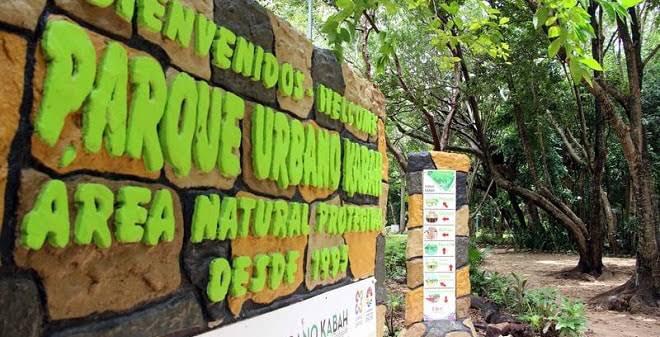 Un nuevo Eco-Rescate de ECOCE, ahora en Cancún - Grupo Pirámide