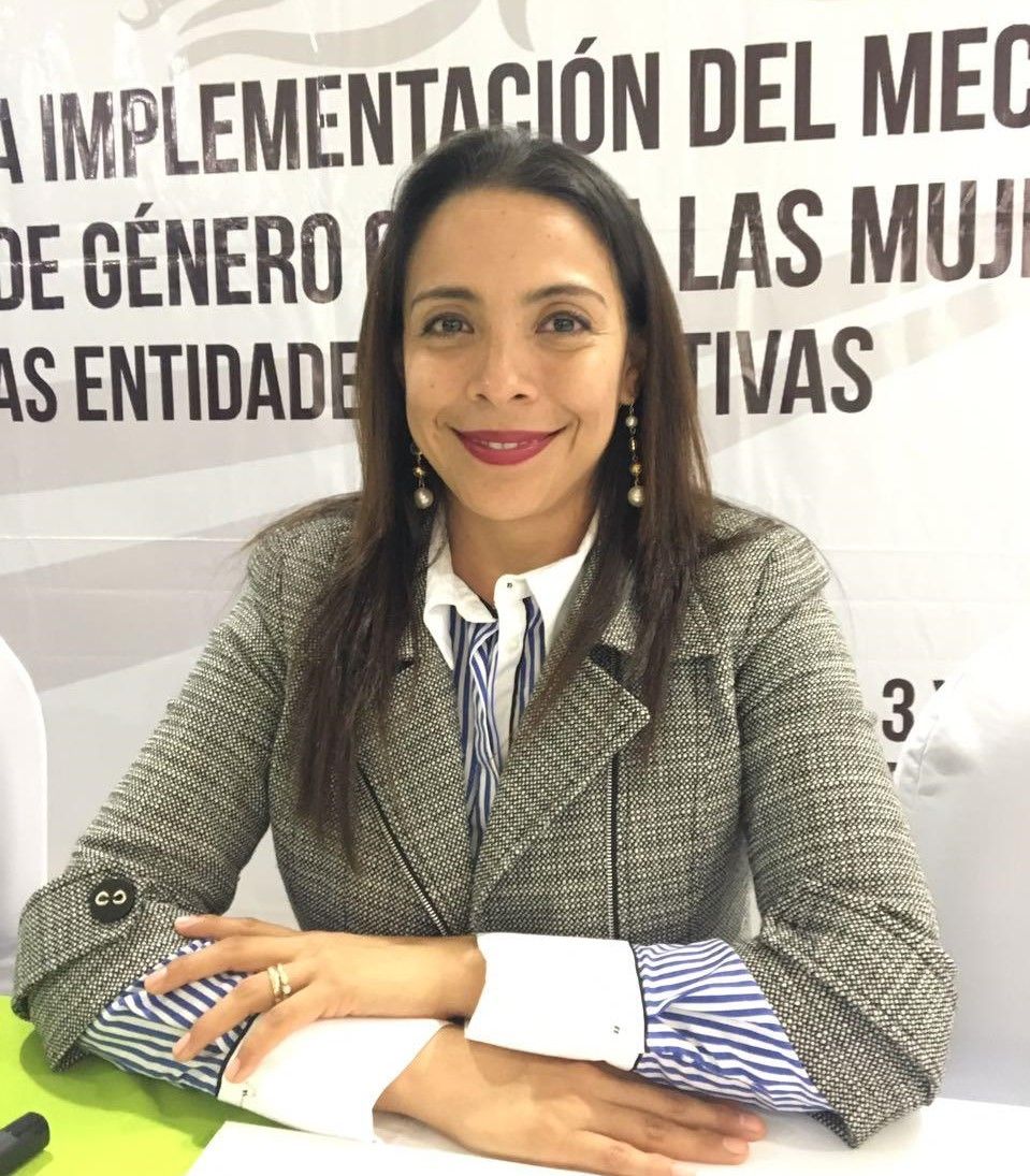 Entrevista | “El acceso a la justicia requiere incorporar diversos ...