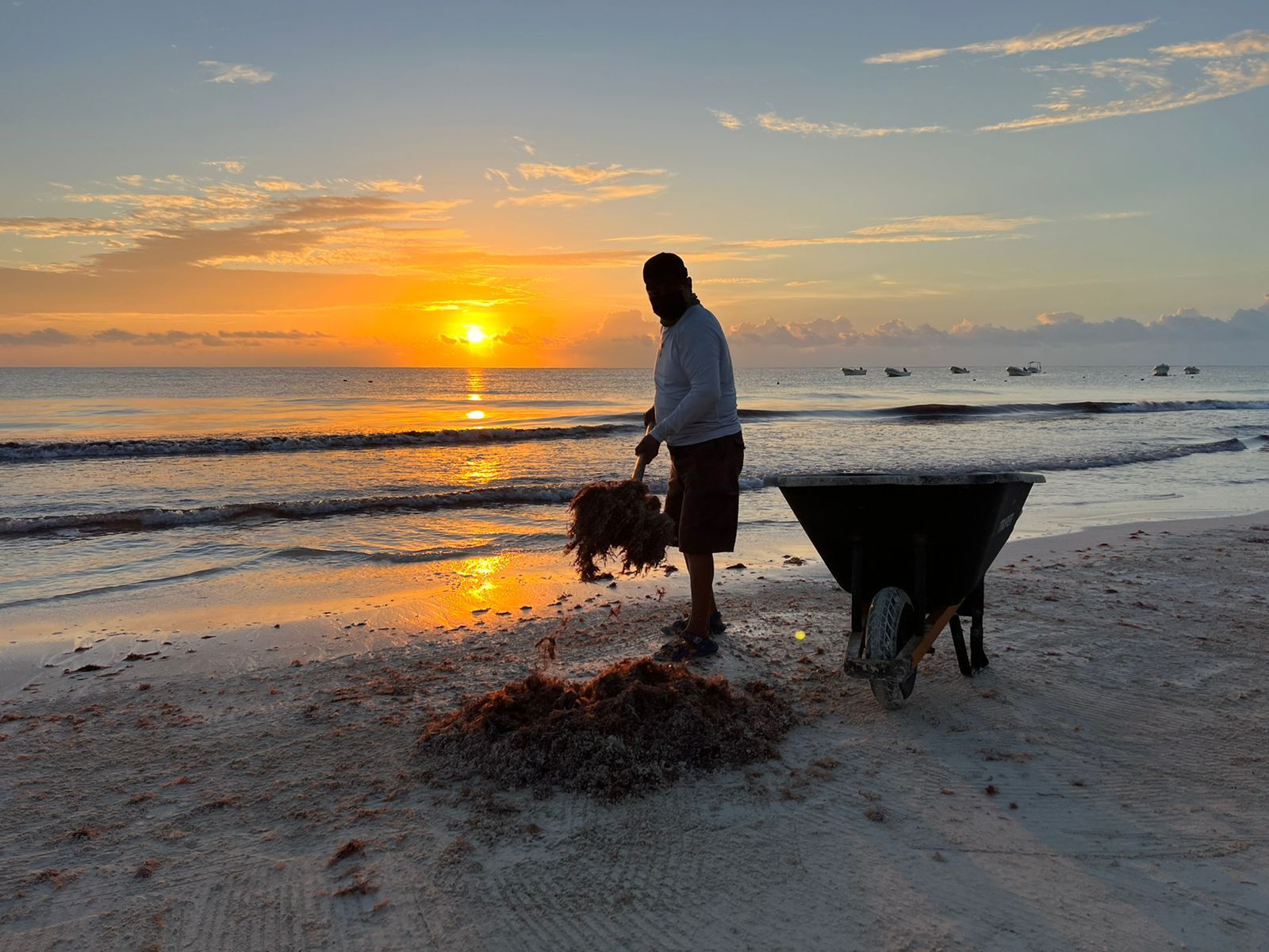 Trabajan cuadrillas de limpieza para mantener playas de Tulum libres de ...