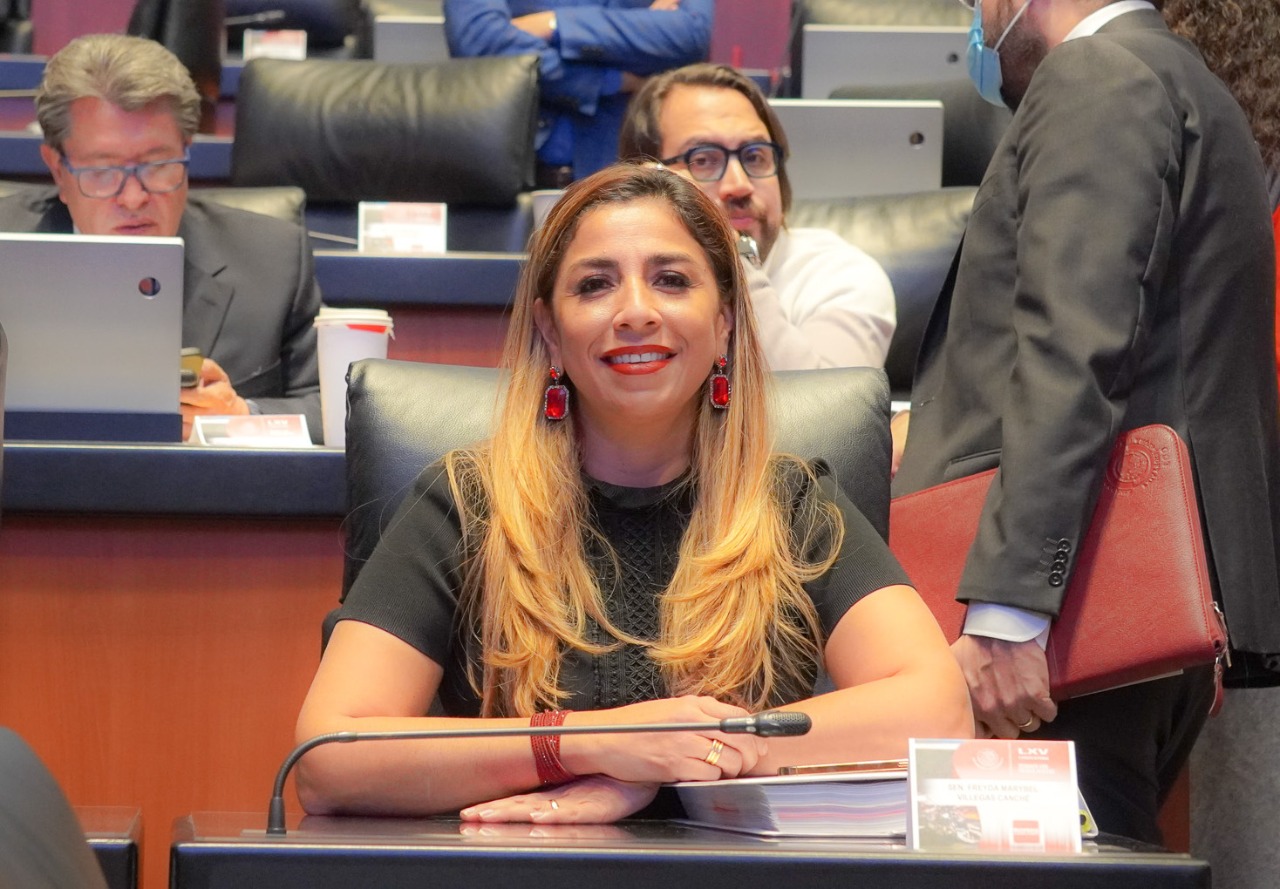 Avanza en el Senado exigencia de Marybel Villegas para proteger al ...